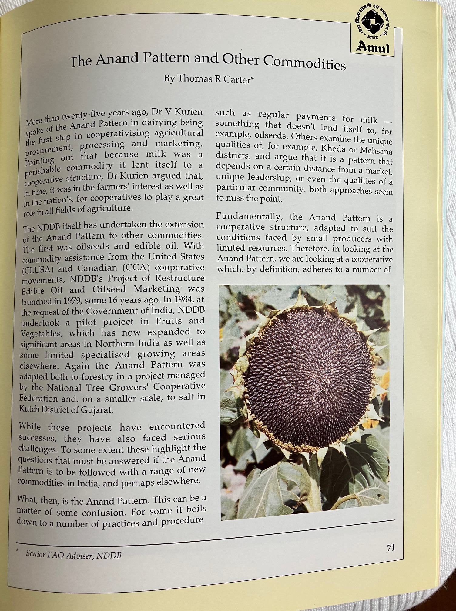 The Anand Pattern and Other Commodities – Reflections on Running & Life